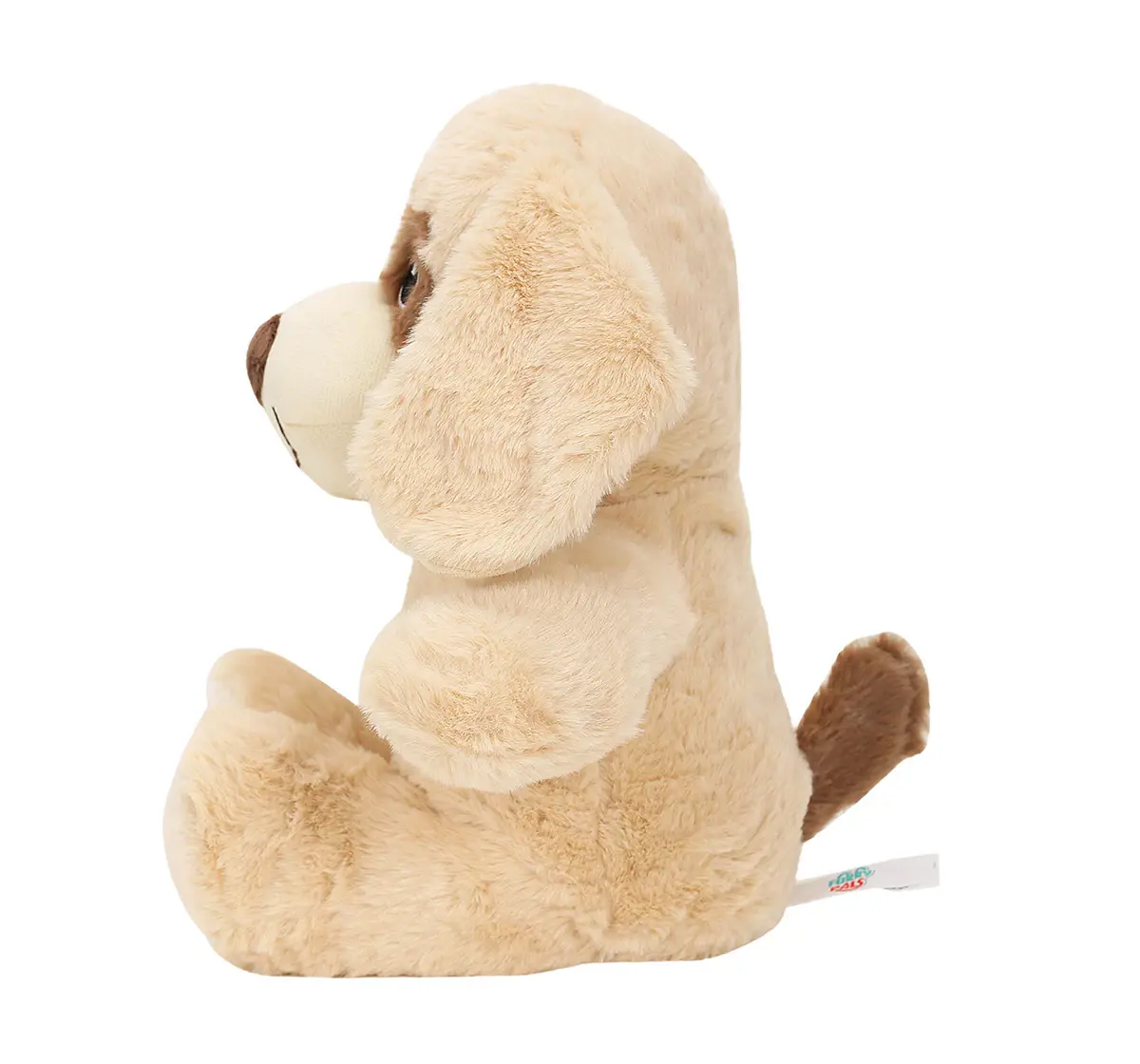 Buy Striders 14 Inch Super Soft Beige Dog Soft Toy with Eye Patch, 3Y ...