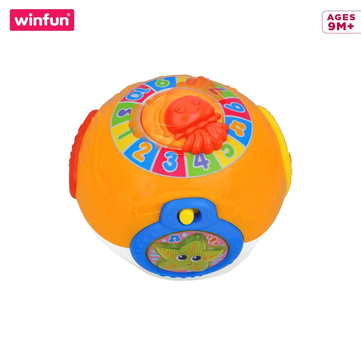 Buy Winfun Activity Ocean Ball, 9M+ Online | Hamleys India