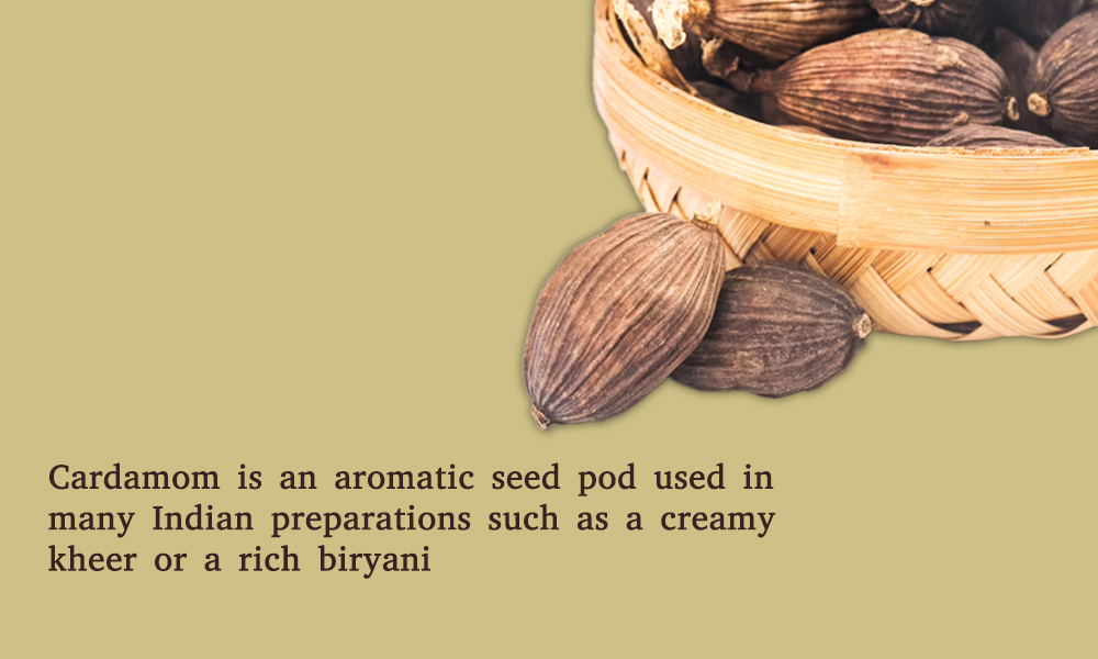 Buy YUM YUM Black Cardamom Badi Elaichi 100 g Online at Best Prices in ...