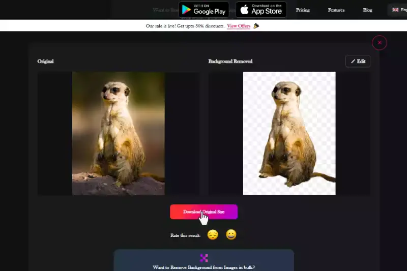 How to Remove Background from JPG Image (Step-by-Step Guide)