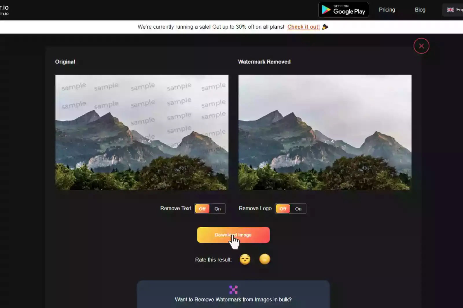 5 Best Watermark Remover For Windows/PC 2024 (Detailed)