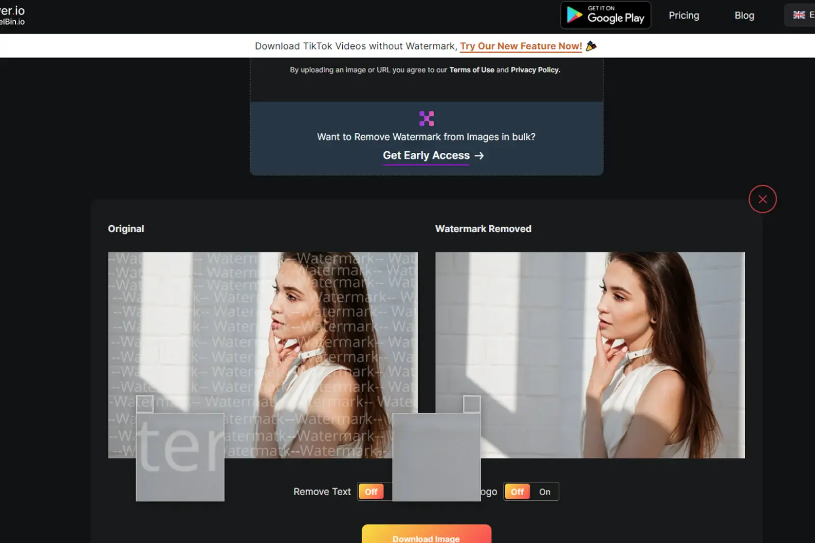Remove the Watermark on the Phtot Lap App