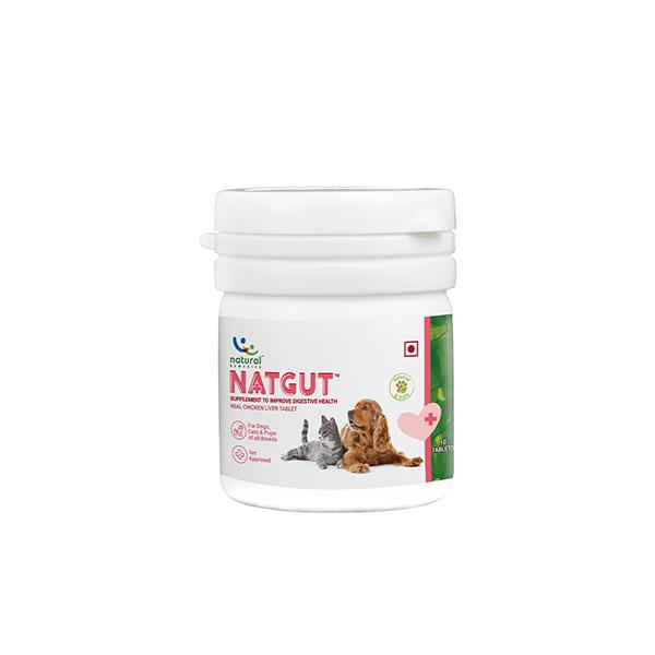 Buy Natural Remedies Natgut Tablets 10's Online at Discounted Price ...