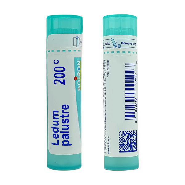 Buy Boiron Ledum Palustre 200C Multi Dose PELLETS 4 GM Online at ...
