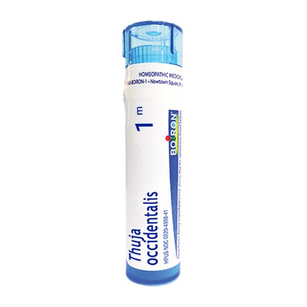 Buy Boiron Thuja Occidentalis 1M Multi Dose PELLETS 4 GM Online at ...