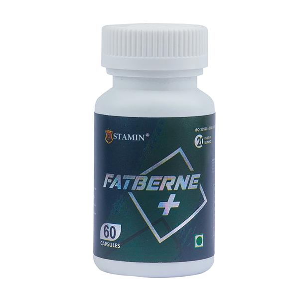 Stamin Fatberne+ Capsule 60's Online at Best Price - Weight Management