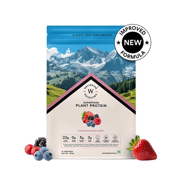 Buy Wellbeing Nutrition Organic Vegan Plant Protein Isolate Powder ...