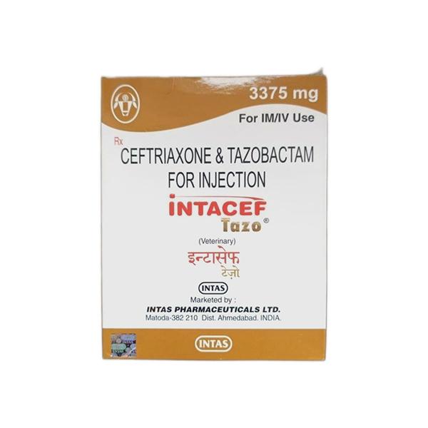 Buy INTACEF TAZO (VET) Injection 1's Online at Upto 25% OFF | Netmeds