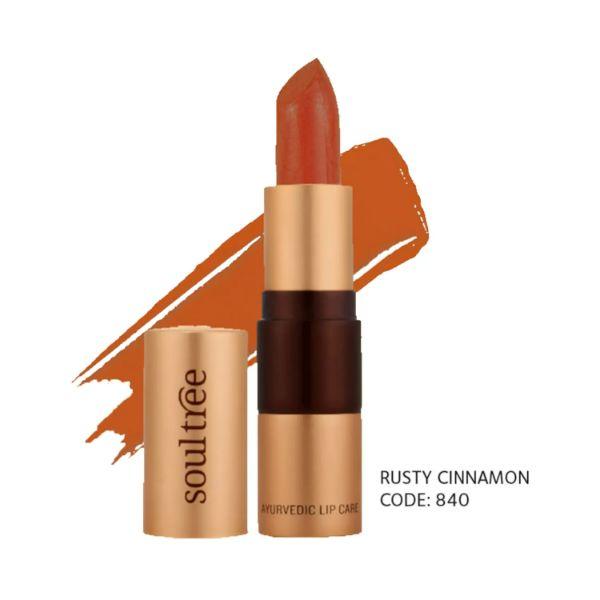 Buy SoulTree Lipstick Rusty Cinnamon 840 4 gm Online at Best Price ...