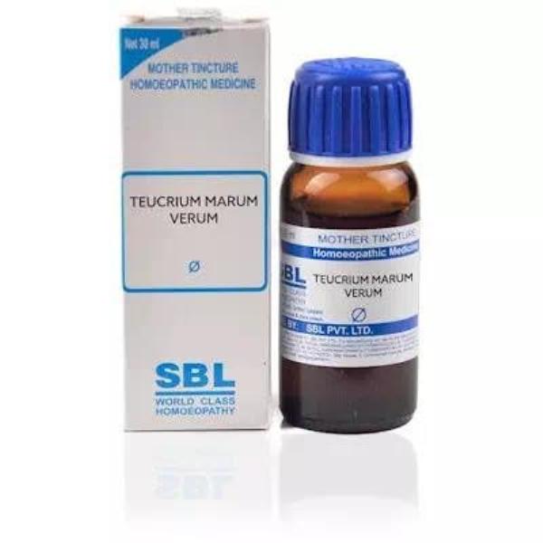 SBL Teucrium Marum Verum Q Liquid 30 ml Online at Best Price ...