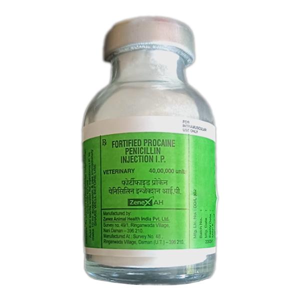 Buy FORTIFIED PROCAINE PENICILLIN 40 LAC (VET) Injection 1's Online at ...