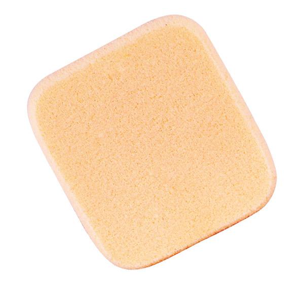 Buy Vega Sponge (NBRS) 1's Online at Discounted Price | Netmeds