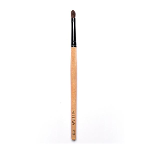 Buy Allure Lip Filler Brush (c-22)( 1's Online at Discounted Price ...