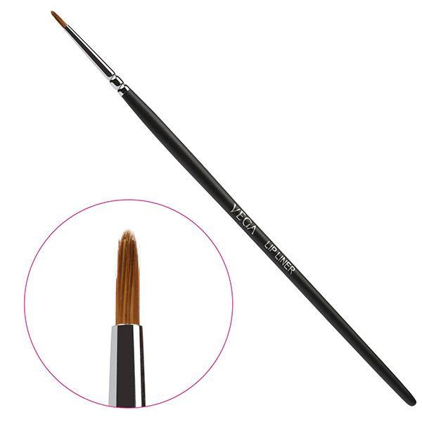 Buy Vega Lip Liner Brush (PB - 04) 1's Online at Discounted Price | Netmeds