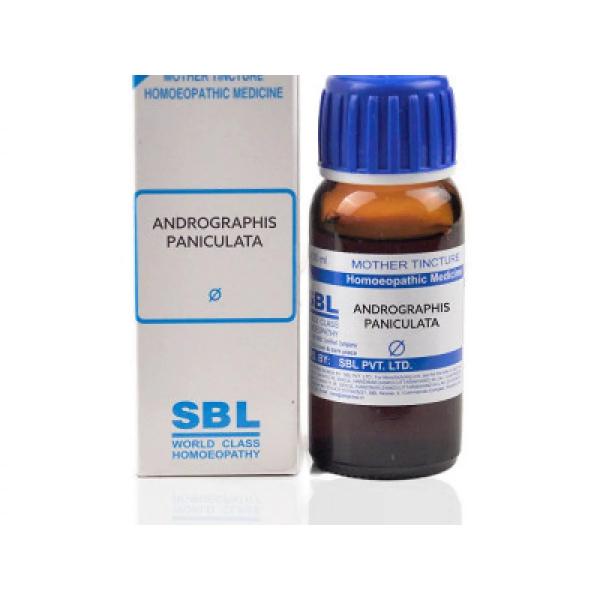 andrographis paniculata uses