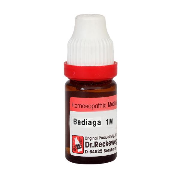 Buy Dr. Reckeweg Badiaga 1M Liquid 11 ml Online at Discounted Price ...