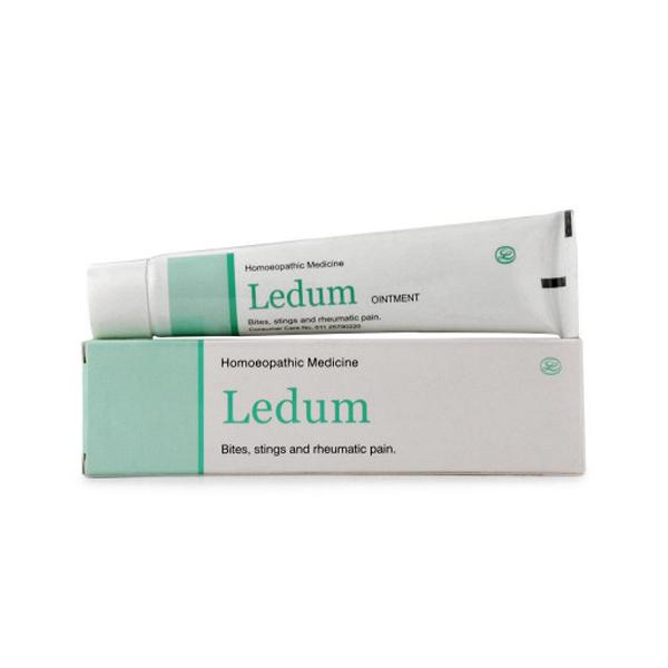 Buy Lord's Ledum Ointment 25 gm Online at Discounted Price | Netmeds