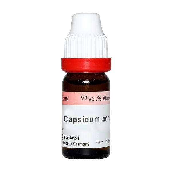 Buy Dr. Reckeweg Capsicum Annuum 200 Liquid 11 ml Online at Discounted ...