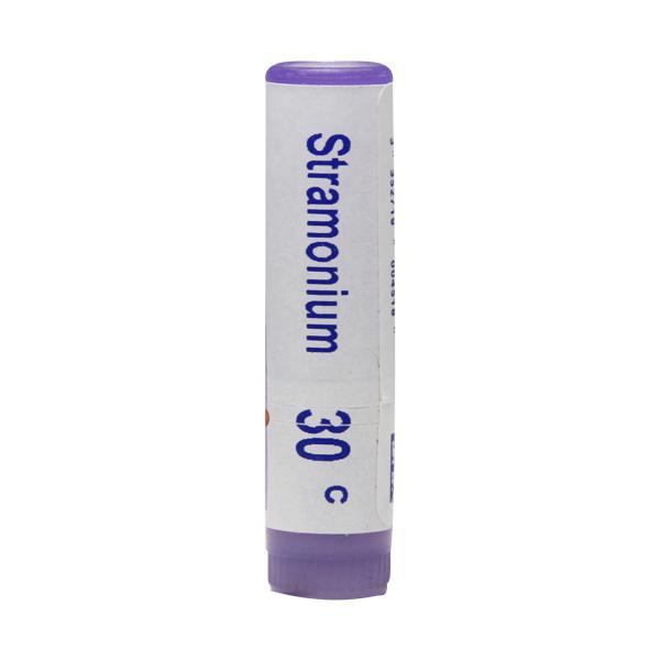 Buy Boiron Stramonium 30C Multi Dose PELLETS 4 GM Online at Discounted ...