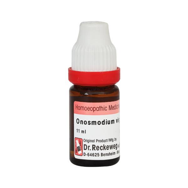 Buy Dr. Reckeweg Onosmodium Virginianum 1M Liquid 11 ml Online at ...