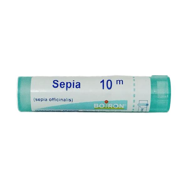 Buy Boiron Sepia 10M Multi Dose PELLETS 4 GM Online at Discounted Price ...
