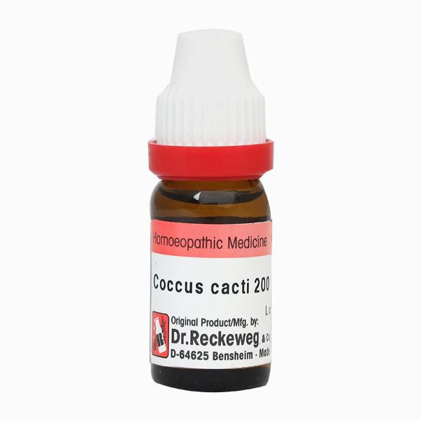 Buy Dr. Reckeweg Coccus Cacti 200 Liquid 11 ml Online at Discounted ...