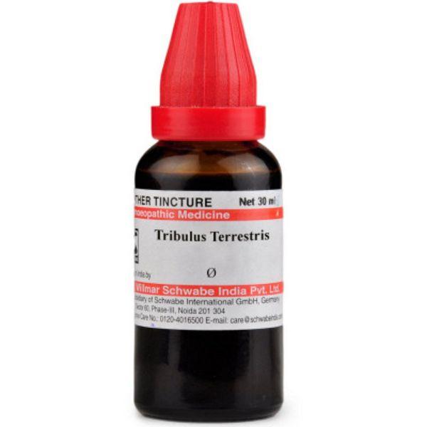 Buy Dr.Willmar Schwabe Tribulus Terrestris Ø Drops 30 ml Online at ...