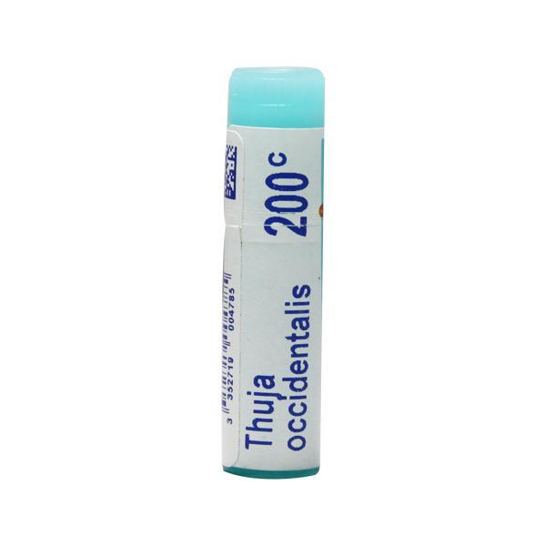 Buy Boiron Thuja Occidentalis 200C Multi Dose PELLETS 4 GM Online at ...