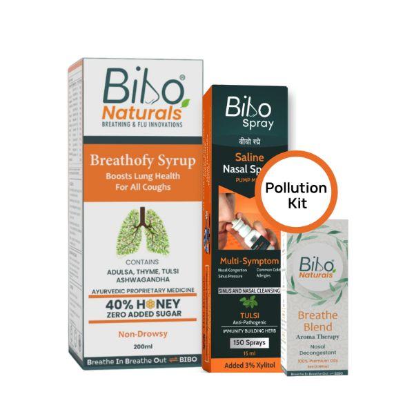 Bibo Pollution Safety Kit (Breathofy Syrup 200 ml + Saline Nasal Syrup ...