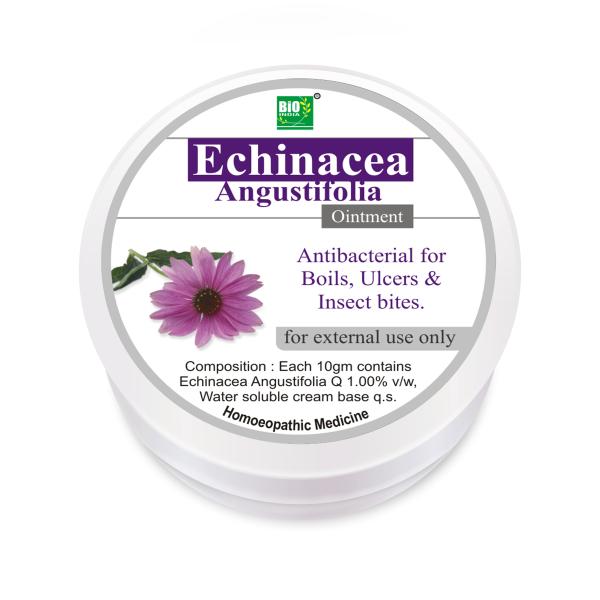 Bio-India's Echinacea Angustifolia Ointment 30 gm Online at Best Price ...