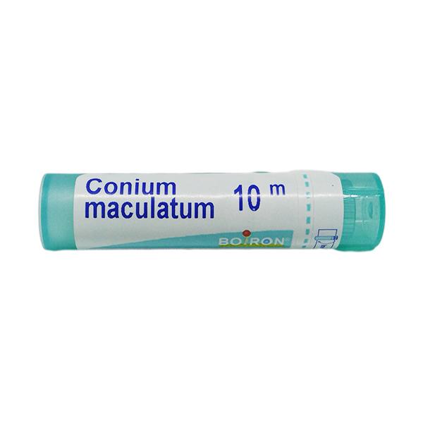 Buy Boiron Conium Maculatum 10M Multi Dose PELLETS 4 GM Online at ...