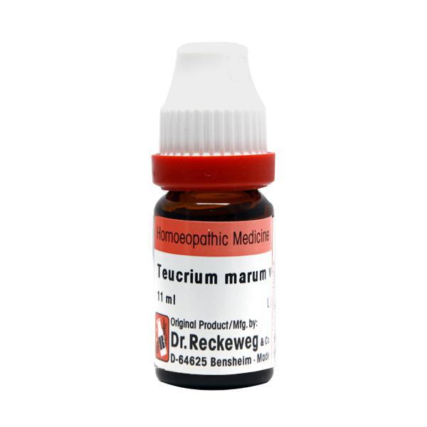 Dr. Reckeweg Teucrium Marum Verum 30 Liquid 11 ml online at best price ...