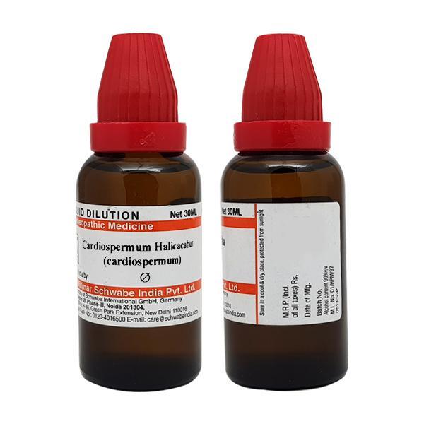 Buy Dr.Willmar Schwabe Cardiospermum Halica Ø Liquid 30 ml Online at ...