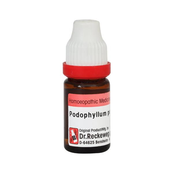 Buy Dr. Reckeweg Podophyllum Peltatum 50M Liquid 11 ml Online at ...