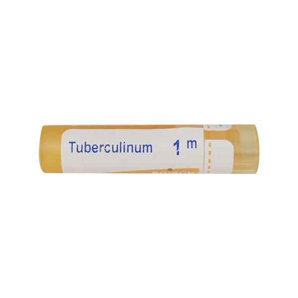 Buy Boiron Tuberculinum 1M Multi Dose PELLETS 4 GM Online at Discounted ...