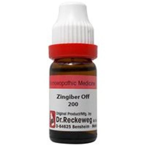 Buy Dr. Reckeweg Zingiber Officinale 200 Liquid 11 ml Online at Discounted Price | Netmeds