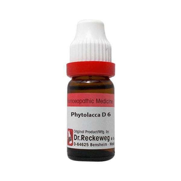 Buy Dr. Reckeweg Phytolacca Decandra 6 Liquid 11 ml Online at ...