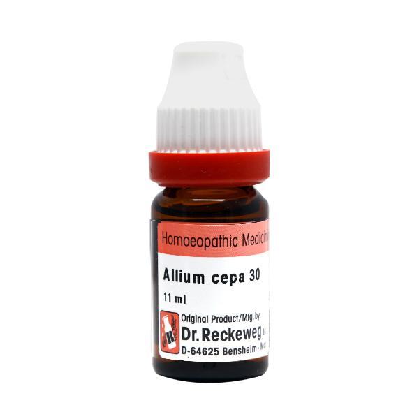 Buy Dr. Reckeweg Allium Cepa 30 Liquid 11 ml Online at Discounted Price ...