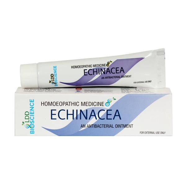Buy LDD Bioscience Echinacea Ointment 25 gm Online at Discounted Price ...