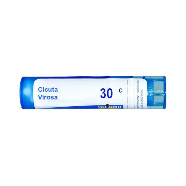 Buy Boiron Cicuta Virosa 200C Multi Dose PELLETS 4 GM Online at ...