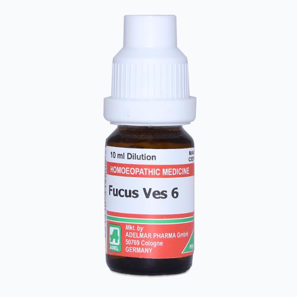 Buy Adel Fucus Ves. 6 Liquid 10 ml Online at Discounted Price | Netmeds