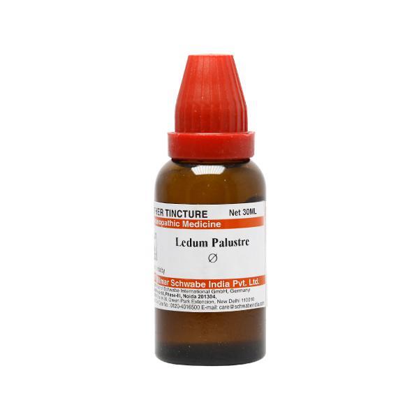 Buy Dr.Willmar Schwabe Ledum Palustre Ø Liquid 30 ml Online at ...