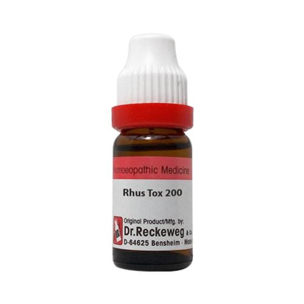 Buy Dr. Reckeweg Rhus Toxicodendron 1M Liquid 11 ml Online at ...