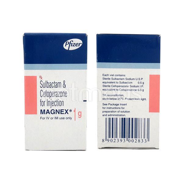 Magnex 1gm Injection 1's : Uses, Side Effects, Price | Netmeds