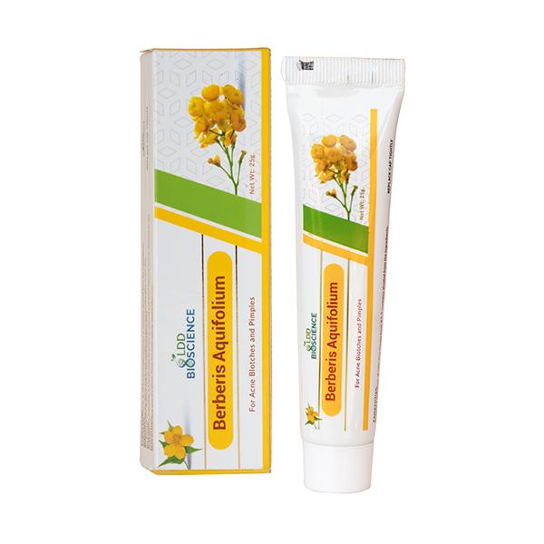Buy LDD Bioscience Berberis Aquifolium Cream 25 gm Online at Discounted ...