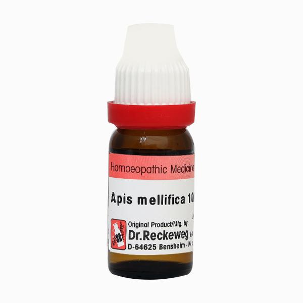 Buy Dr. Reckeweg Apis Mellifica 1M Liquid 11 ml Online at Discounted ...