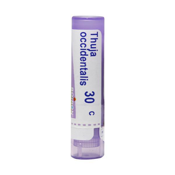 Buy Boiron Thuja Occidentalis 30C Multi Dose PELLETS 4 GM Online at ...