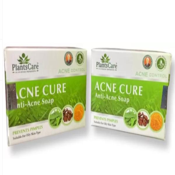 Buy Plants Care Acne Cure Anti-Acne Soap 75 gm (Buy 1 Get 1 Free) Online at Discounted Price ...