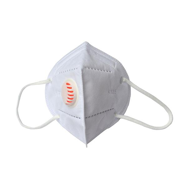 Buy Essentium Phygen KN95 Mask with Respirator 1's Online at Discounted ...
