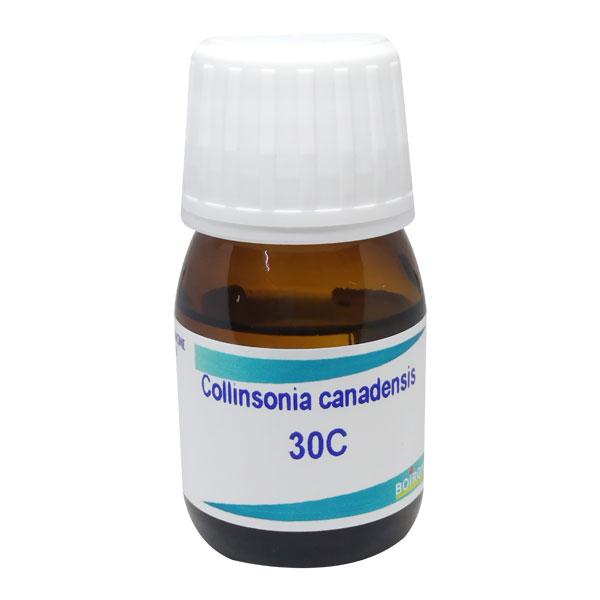 Boiron Collinsonia Canadensis 30C 20 ml Online at Best Price - Dilutions